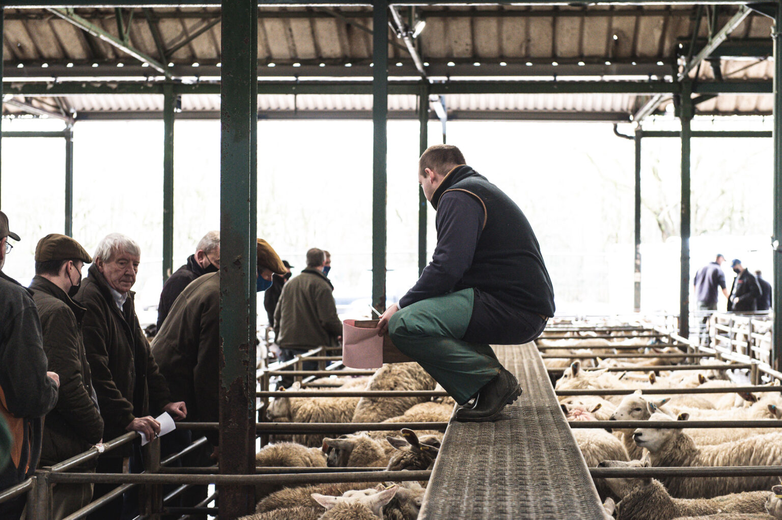 Leek Livestock Market | Staffordshire | Leek Auctions