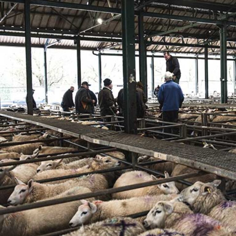 Leek Auctions Reports | Staffordshire | Leek Auctions